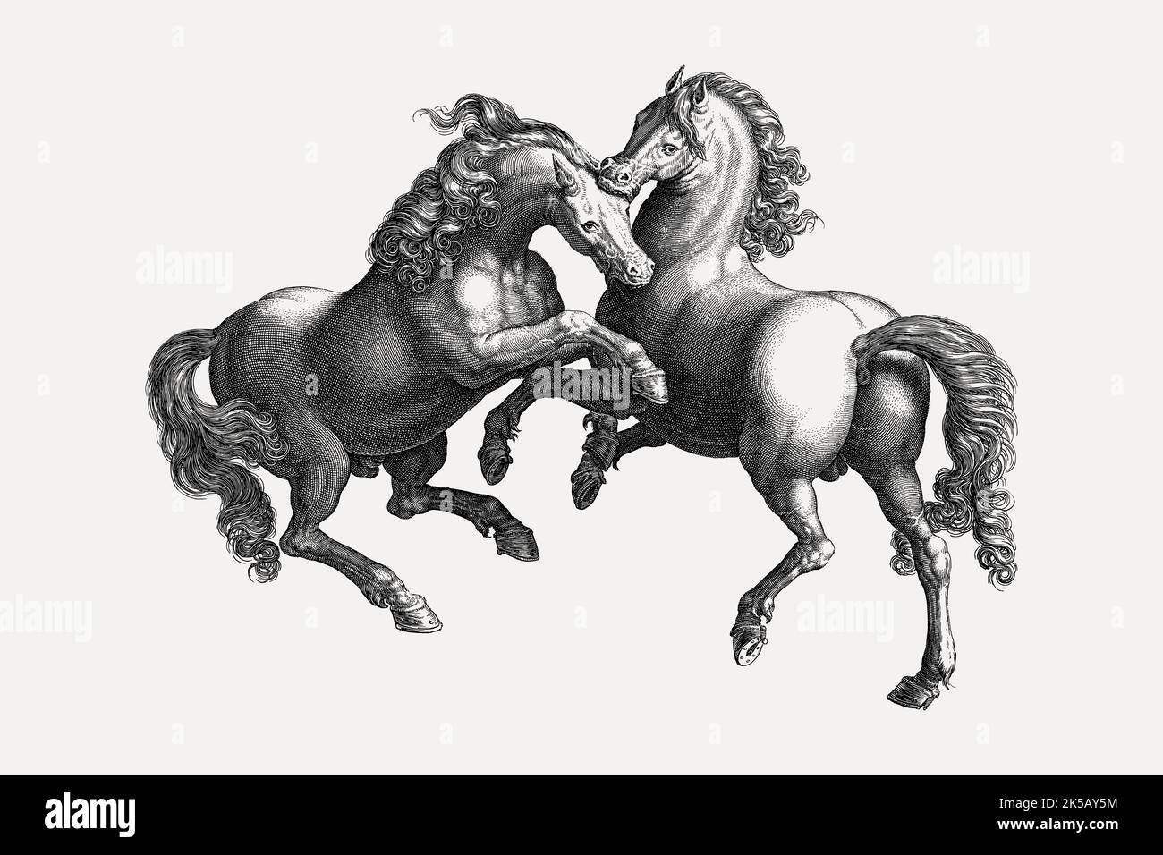 Horses collage element, drawing illustration vector Stock Vector Image ...