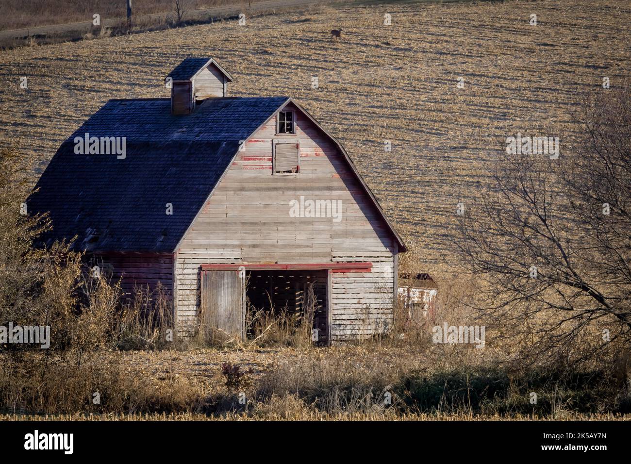 Open barn door hi-res stock photography and images - Alamy