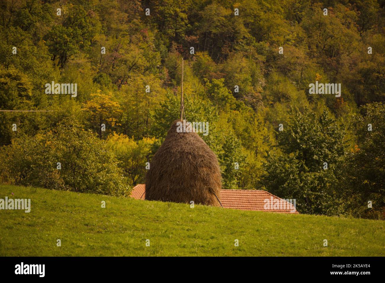 A scenic rural nature with a hay pile and a dense greenery Stock Photo ...