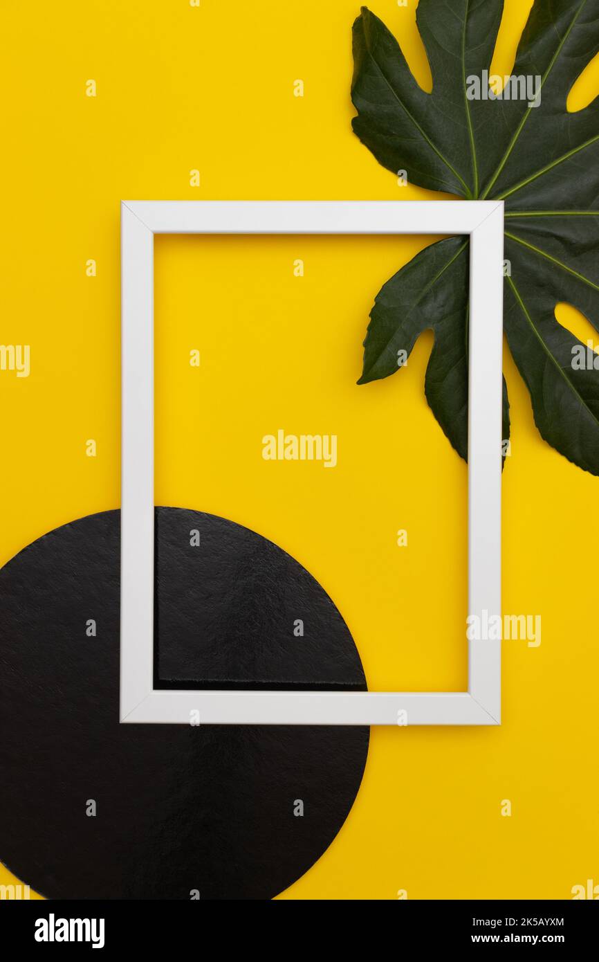 A vertical flat lay with a white frame atop a black circle and a dark ...