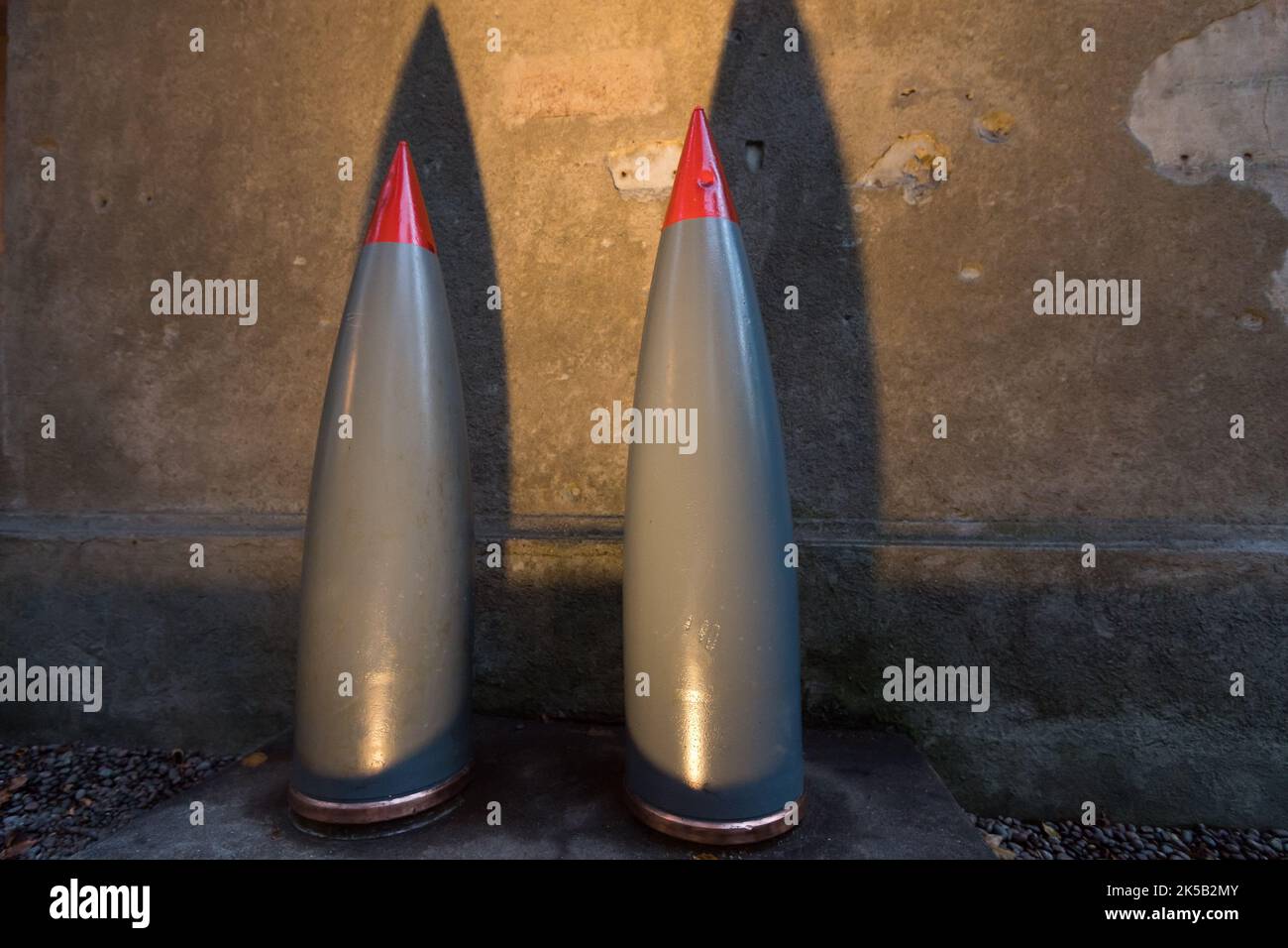 28 cm shell hi-res stock photography and images - Alamy