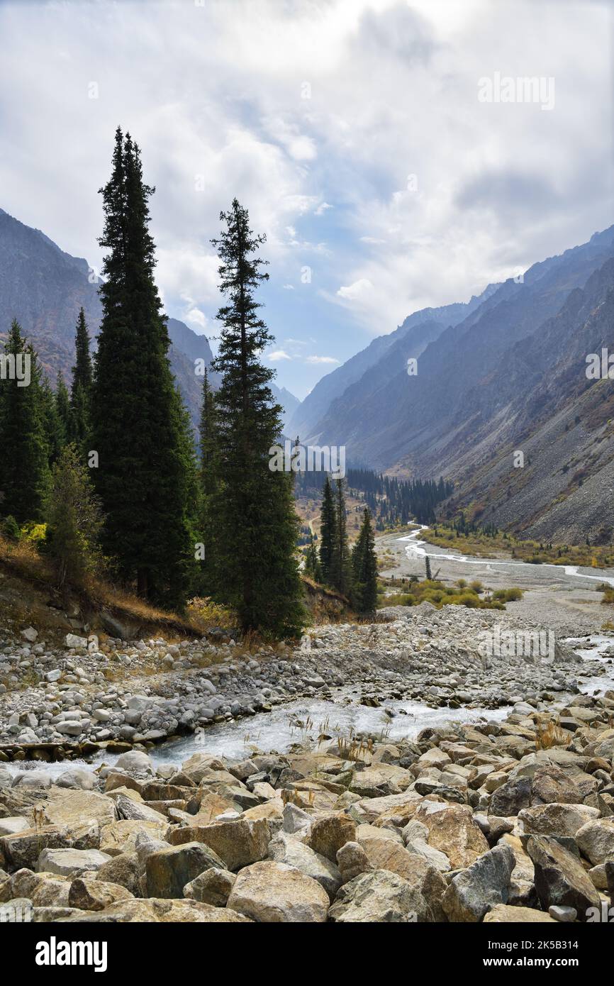 Ak Sai valley autumn landscape. River, stone run, Tian Shan fir trees ...