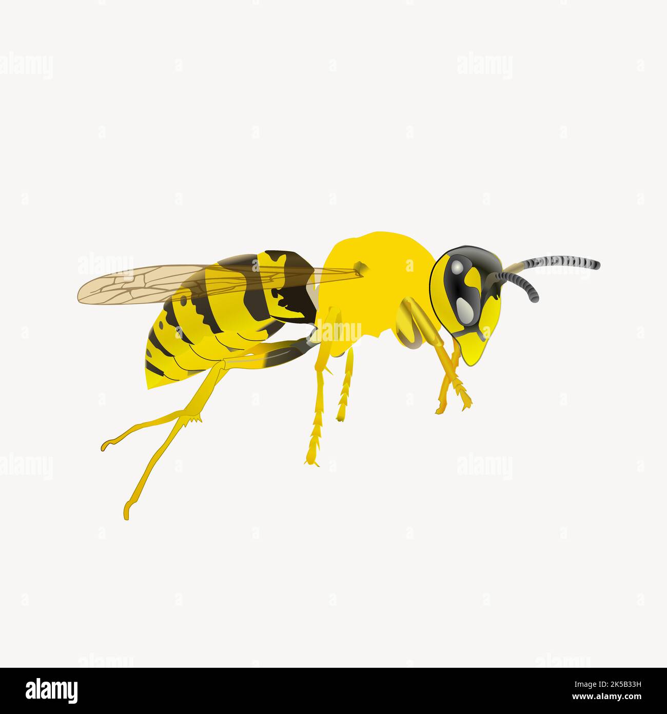 Wasp clipart animal illustration vector Stock Vector Image & Art - Alamy