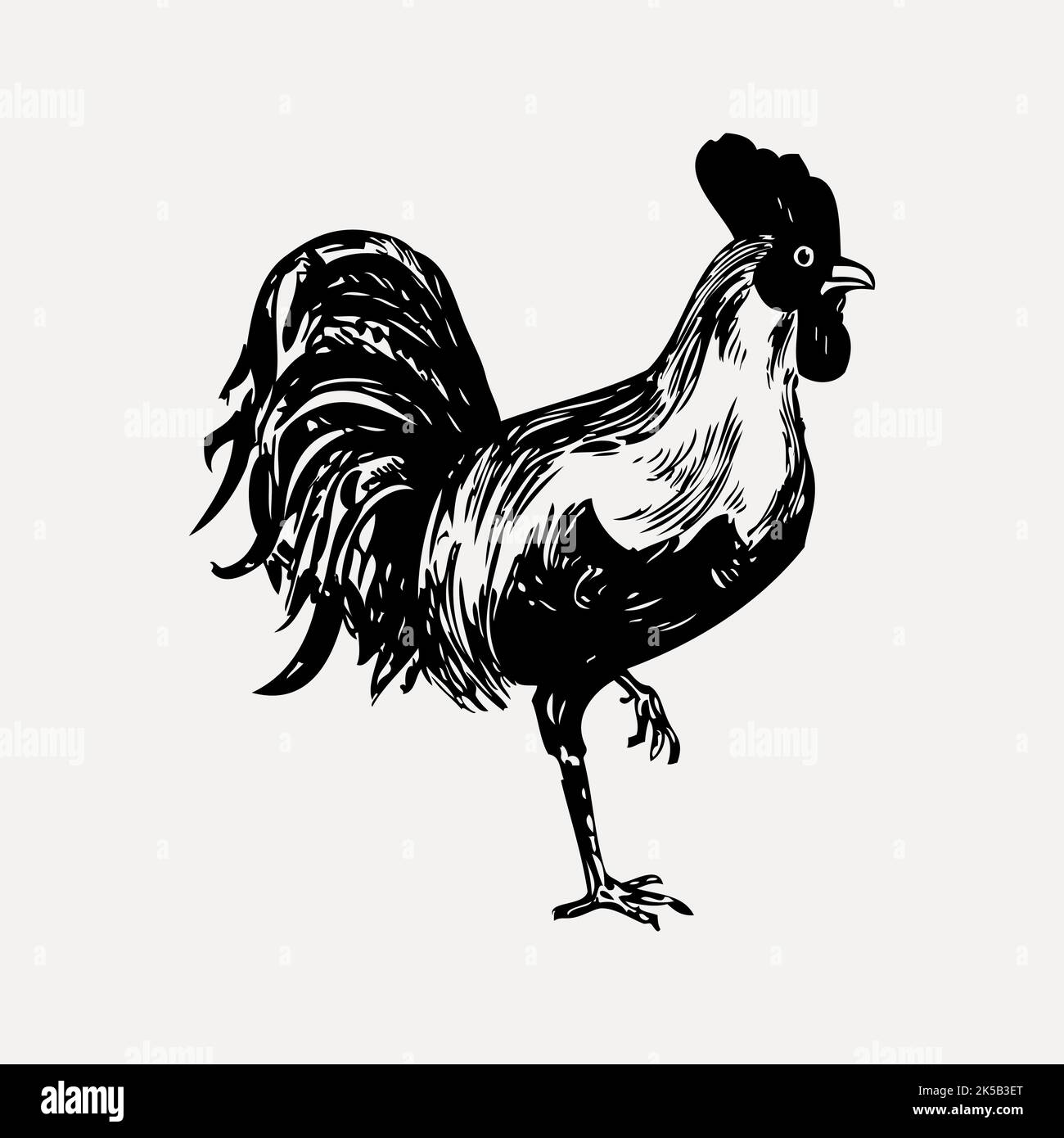 Chicken collage element, drawing illustration vector Stock Vector Image ...