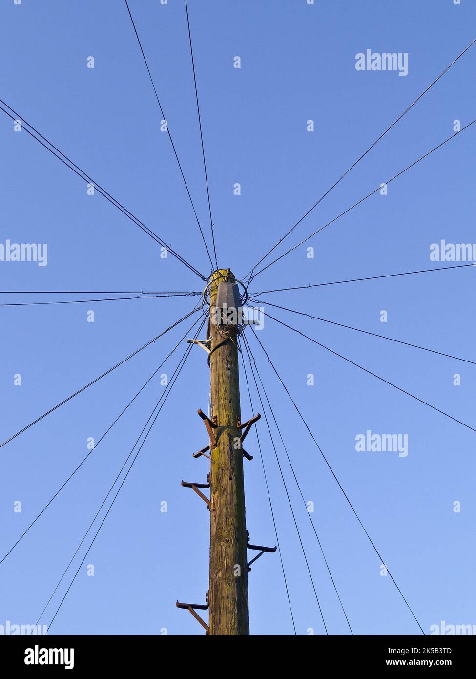Wooden pole with wires radiating around full circle against blue sky ...