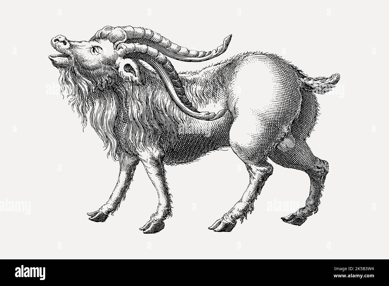 Mountain Goat collage element, drawing illustration vector Stock Vector ...