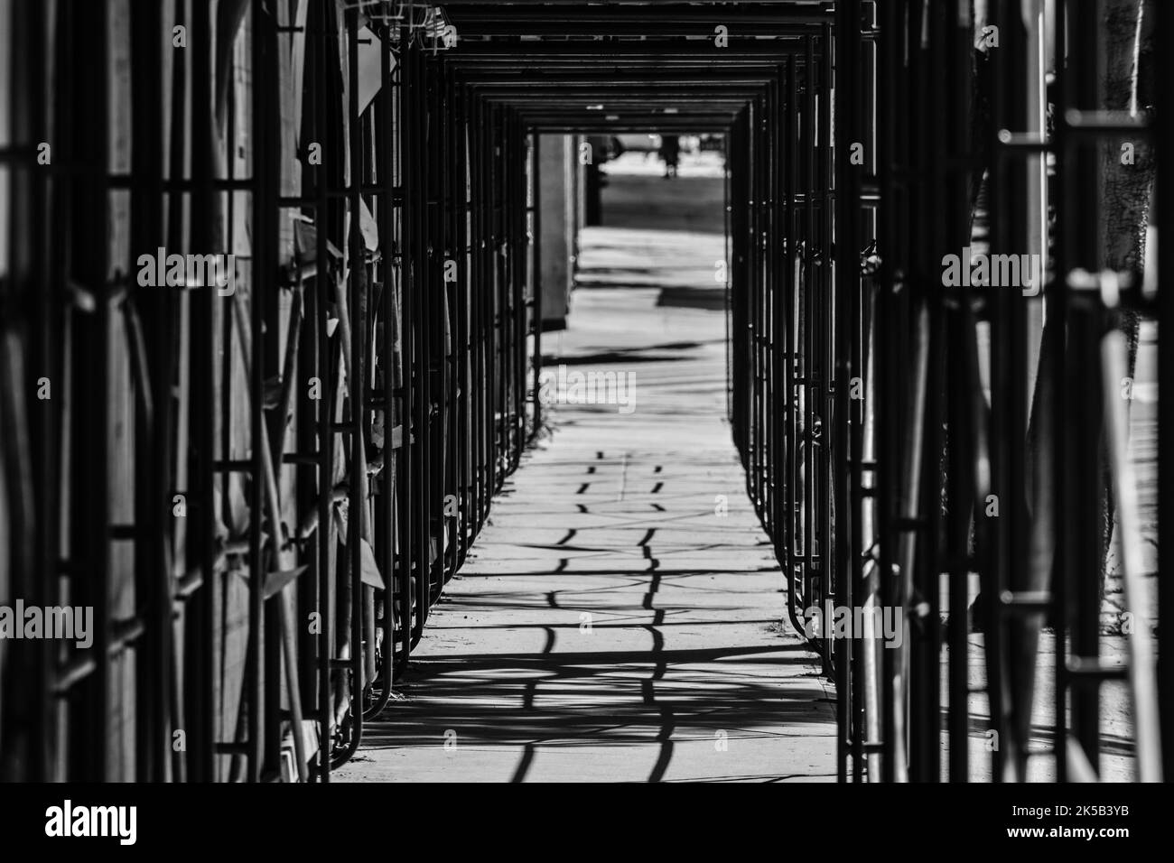 A path surrounded by industrial rods in black and white Stock Photo - Alamy