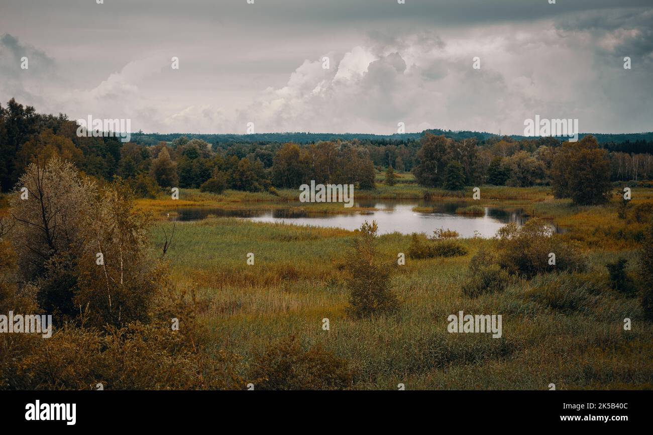 A beautiful scenery of moorland with a lake in Salzburg, Austria, in ...