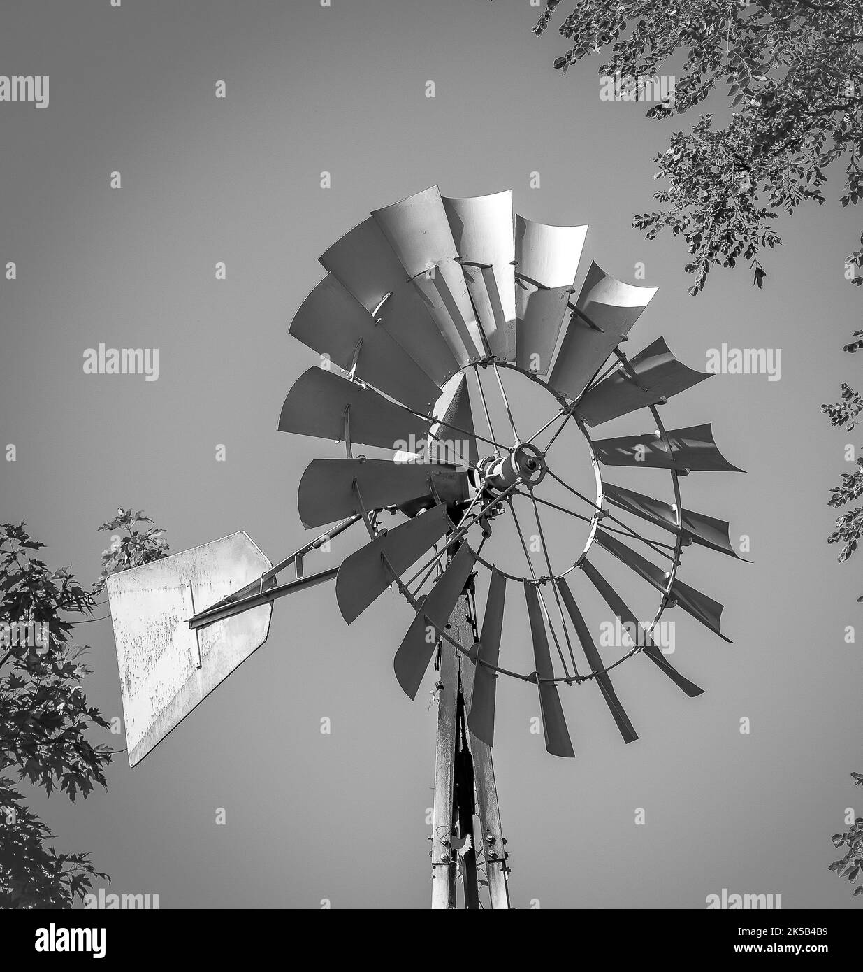 A grayscale closeup of old metal farm windmill by tree branches Stock ...