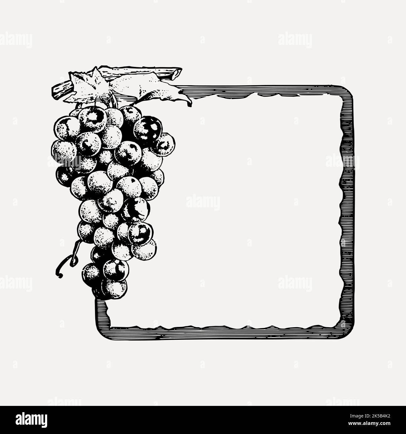 Grapes frame collage element, drawing illustration vector Stock Vector ...