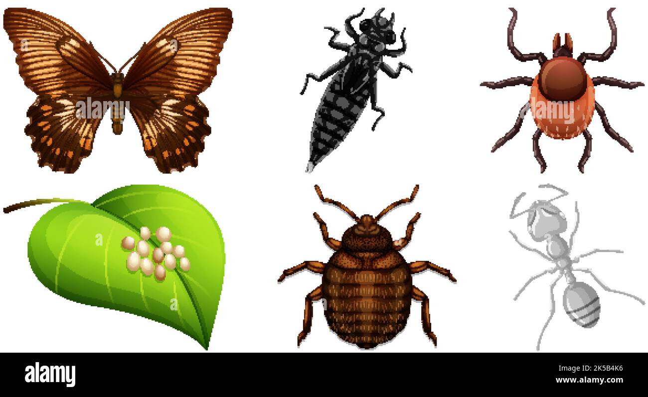 Set of different kinds of insects illustration Stock Vector Image & Art ...