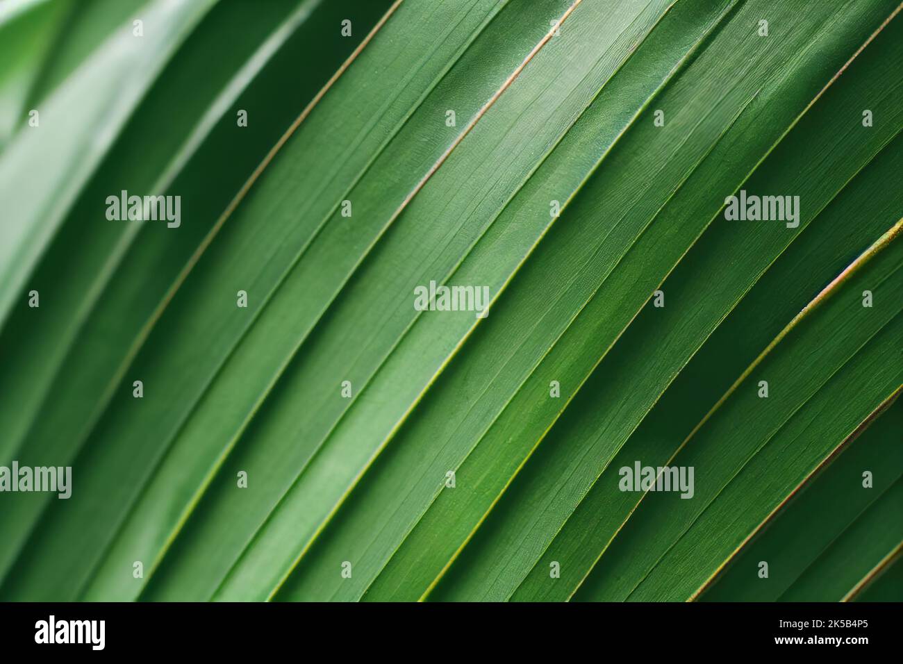 Natural green backdrop hi-res stock photography and images - Alamy
