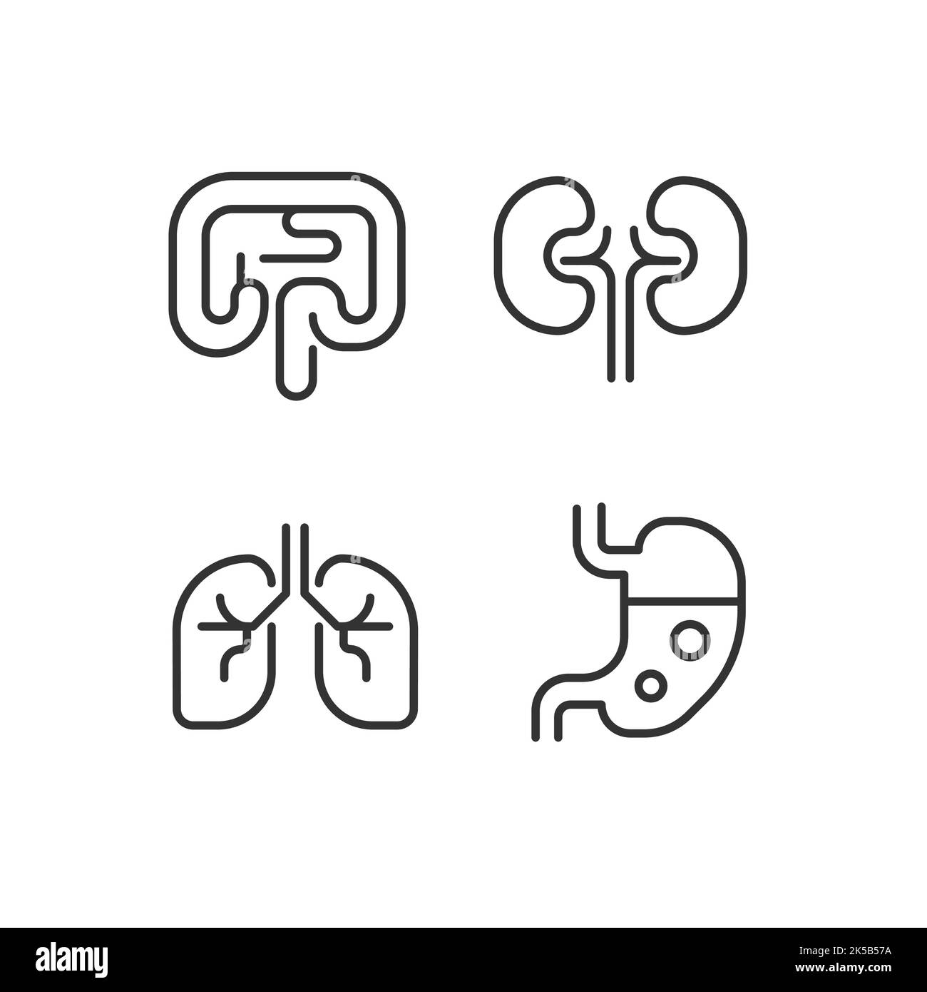 Human body illustration simple organs Cut Out Stock Images & Pictures ...