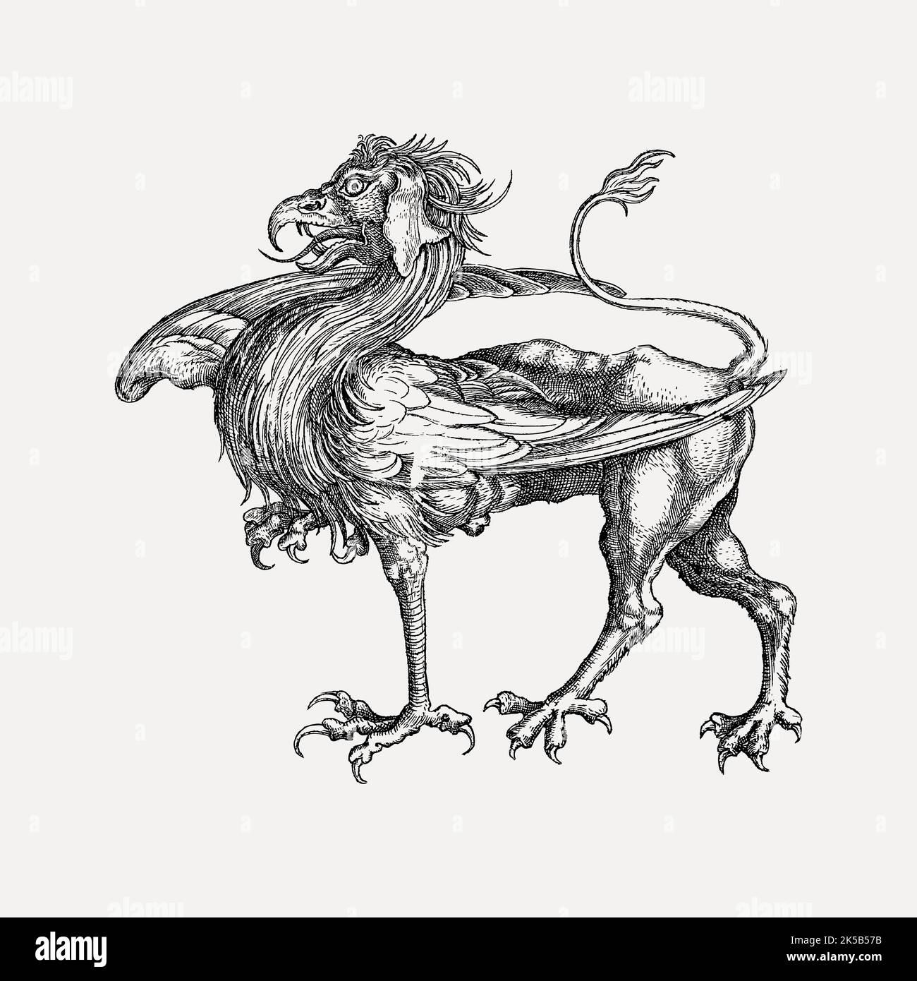 Griffin collage element, drawing illustration vector Stock Vector Image ...