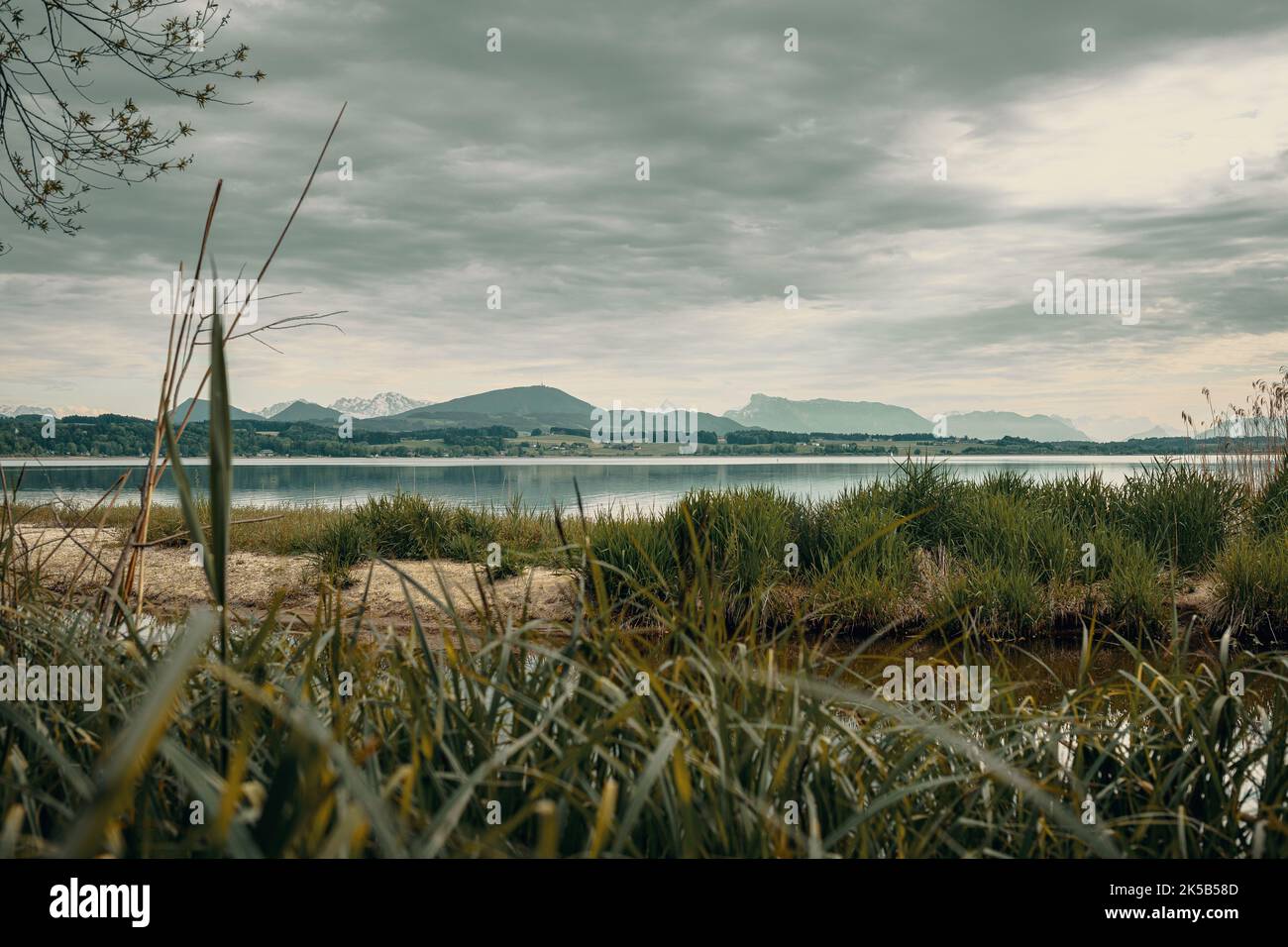 A beautiful scenery of lake Wallersee with calm waters in a forest in ...