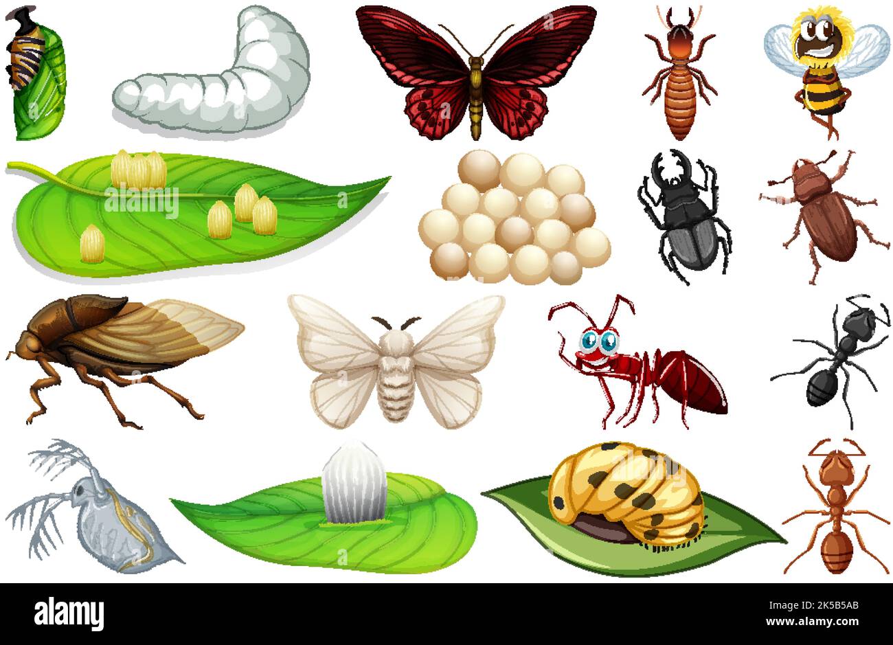 Different kinds of insects collection illustration Stock Vector Image ...