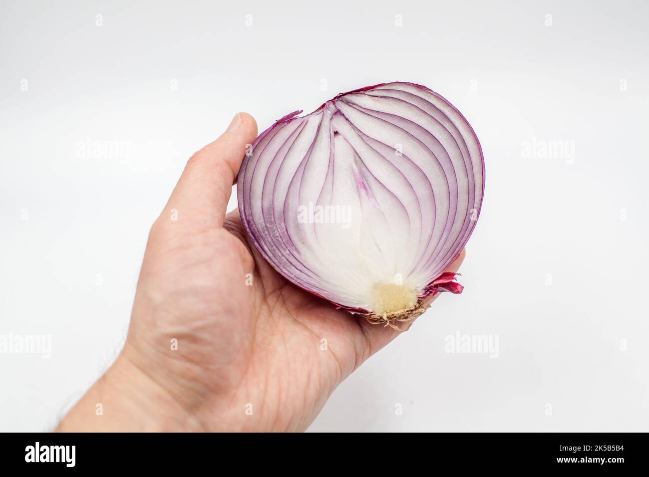 A hand holding piece of onion isolated on white background Stock Photo ...