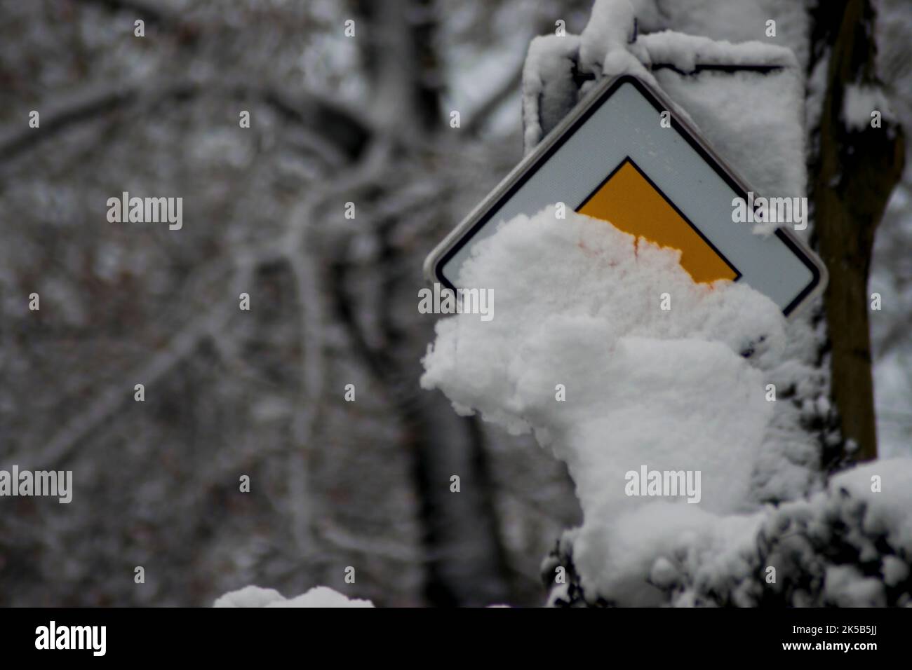 A "Priority road" directional traffic sign covered in snow with a ...