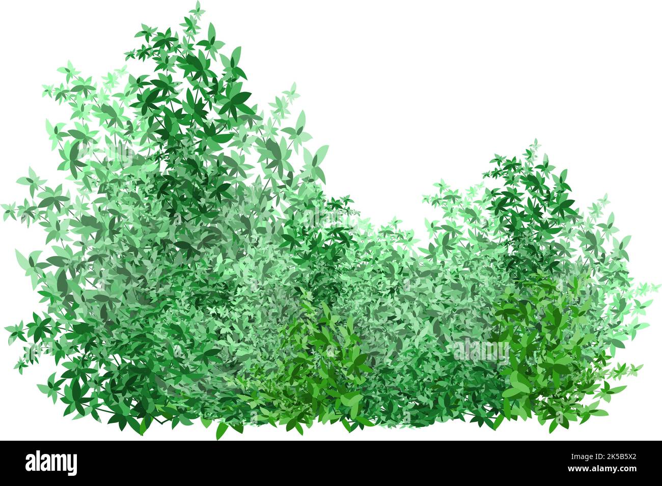Realistic garden shrub, seasonal bush, boxwood, tree crown bush foliage ...