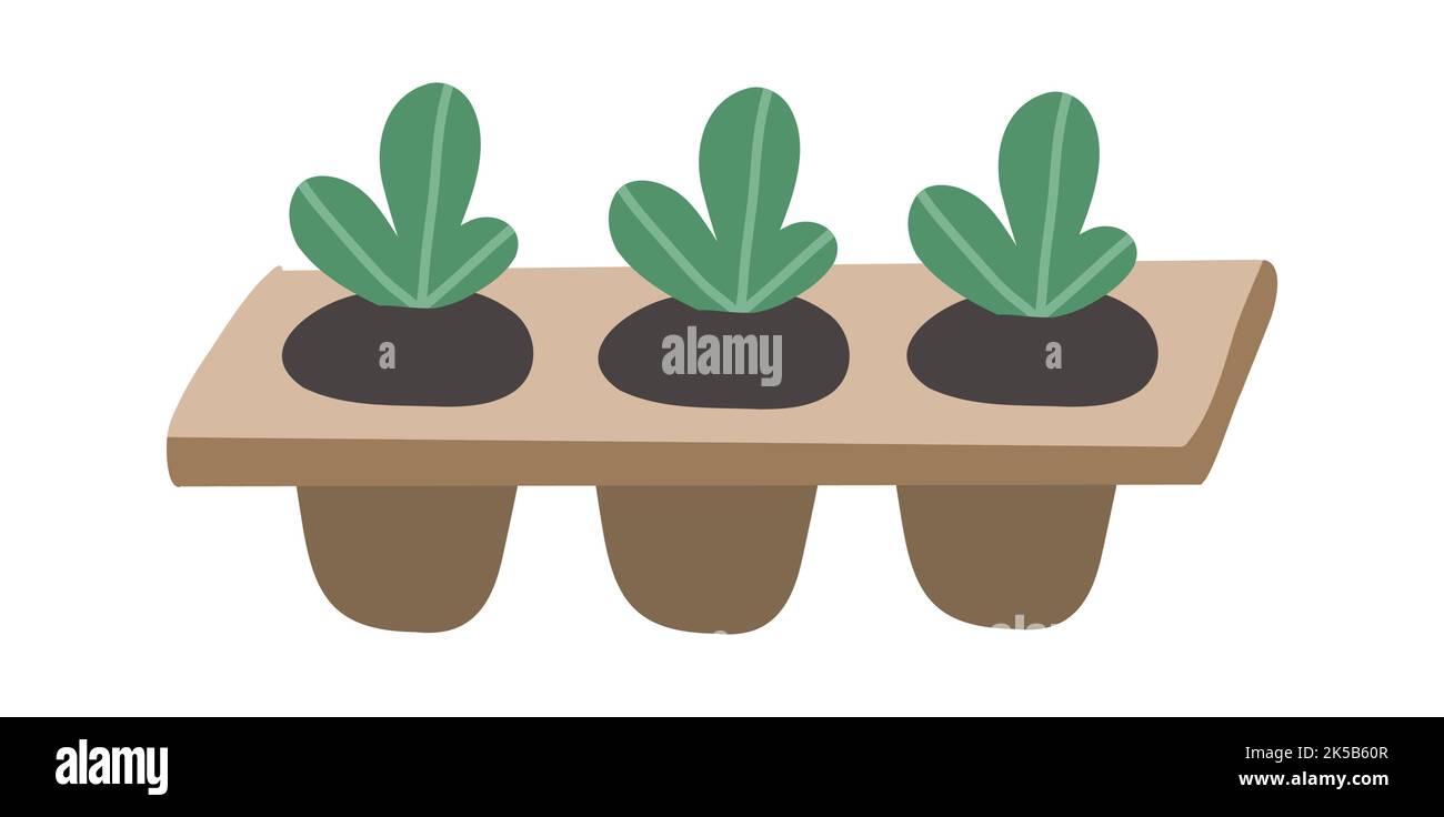 Carrot Plant. Planting vegetables. Carrot growth stage. Vector drawing ...