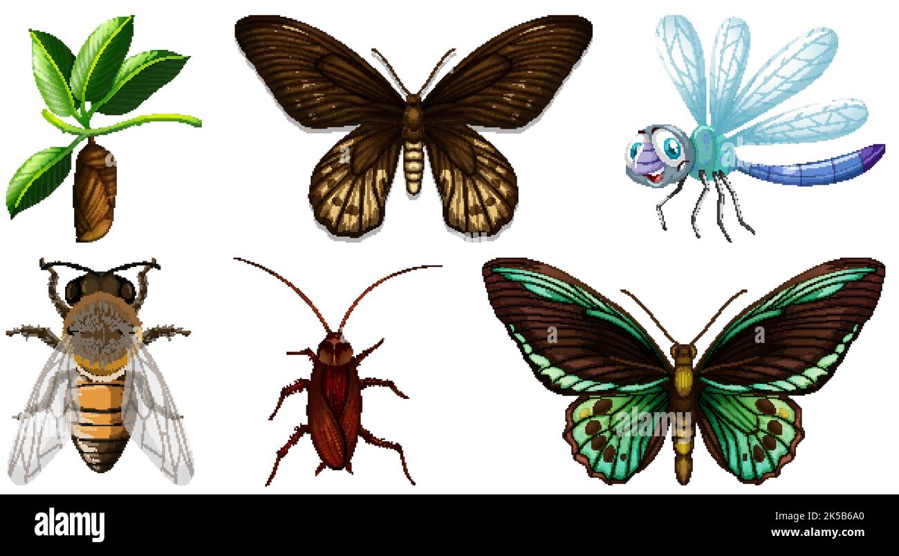 Set of different kinds of insects illustration Stock Vector Image & Art ...