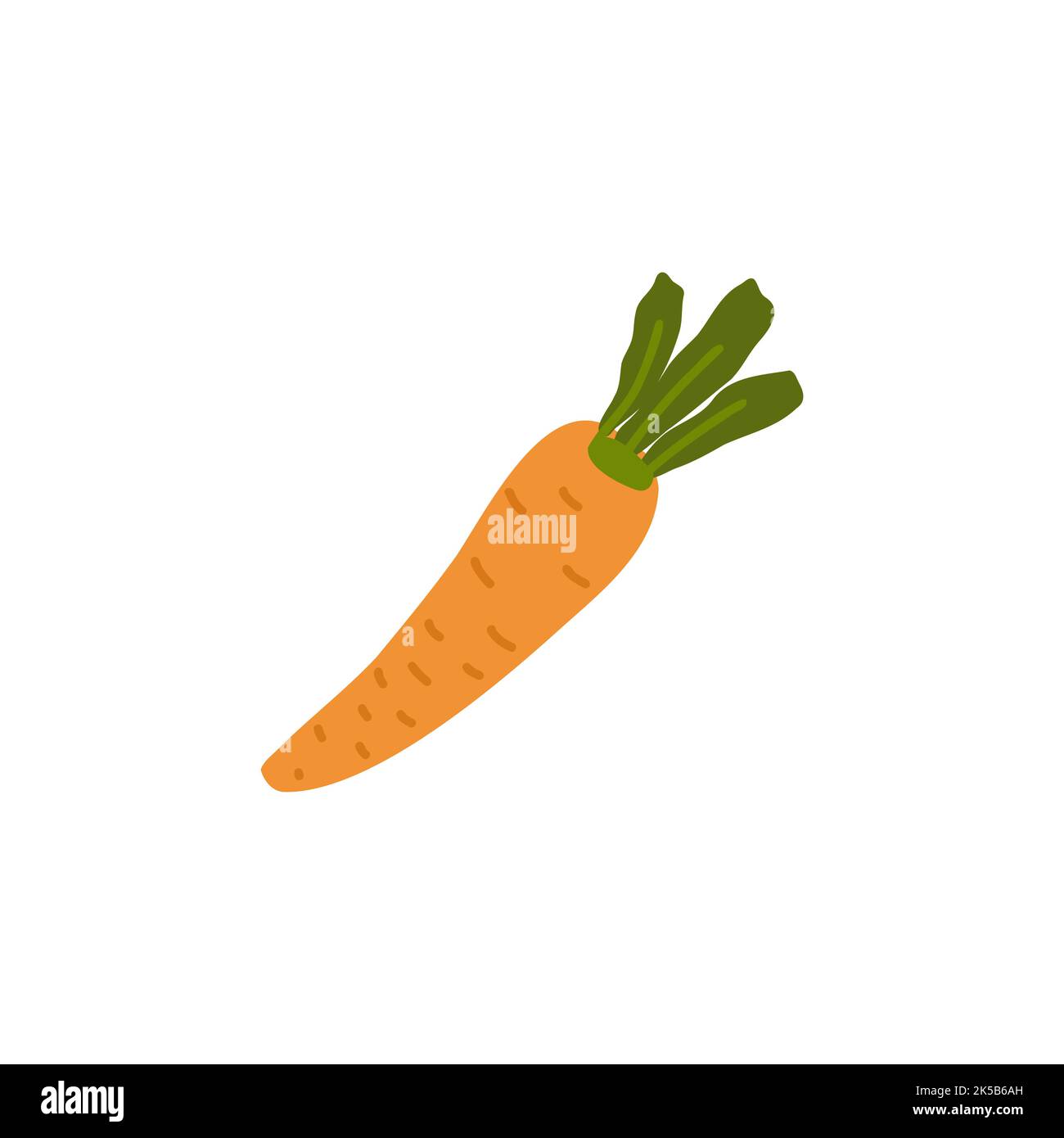 Orange ripe carrot. Cartoon icon of raw carrot with green tops vector ...