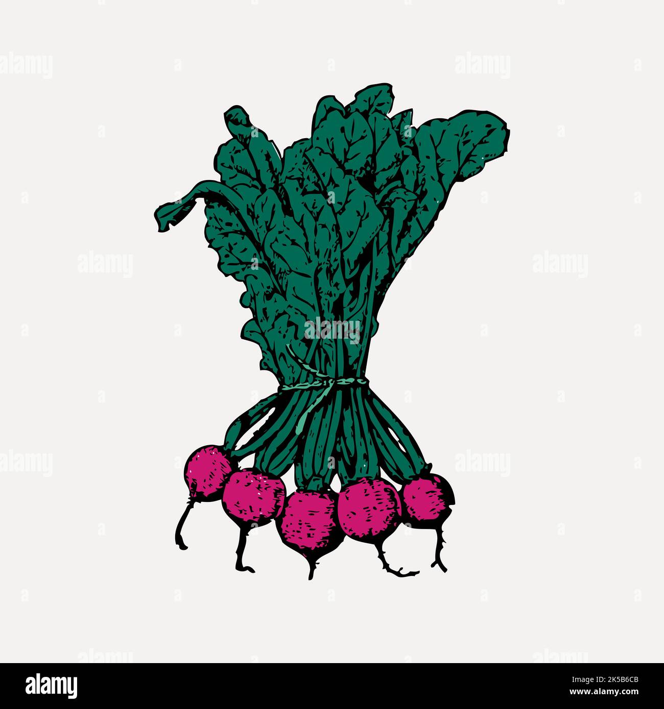 Beets clipart Stock Vector Images - Alamy