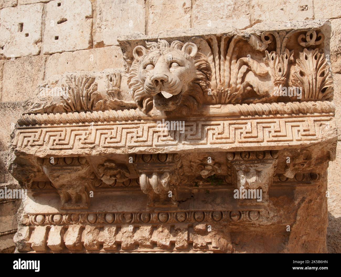 Middle east lions lion hi-res stock photography and images - Alamy