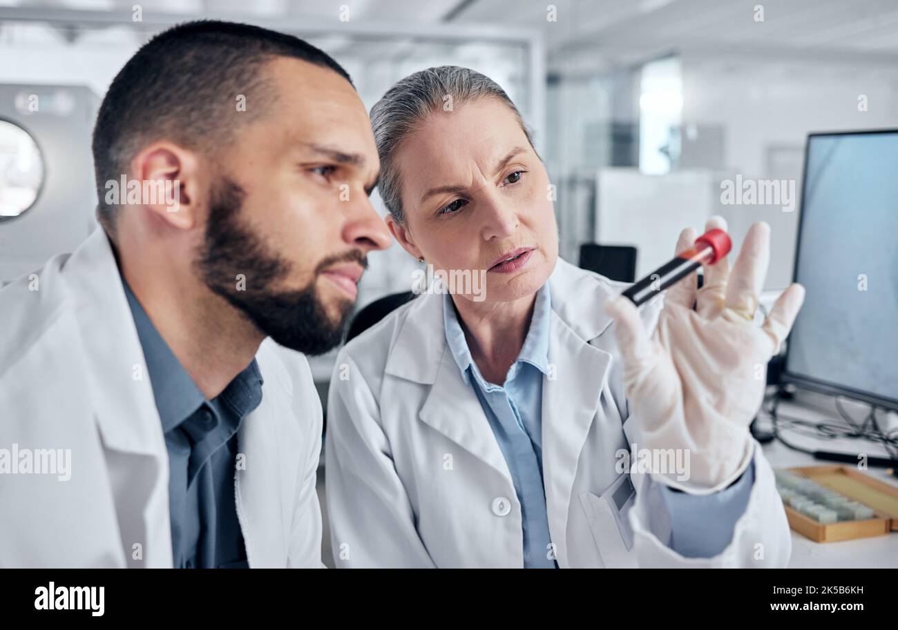 Science team or scientist with DNA blood for vaccine research test ...