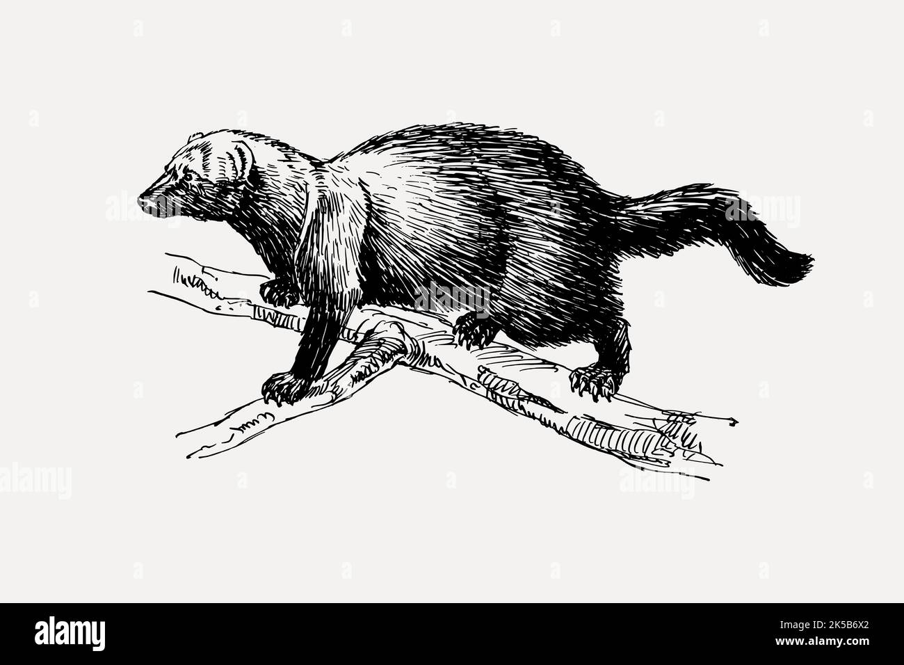 Fisher clipart hi-res stock photography and images - Alamy