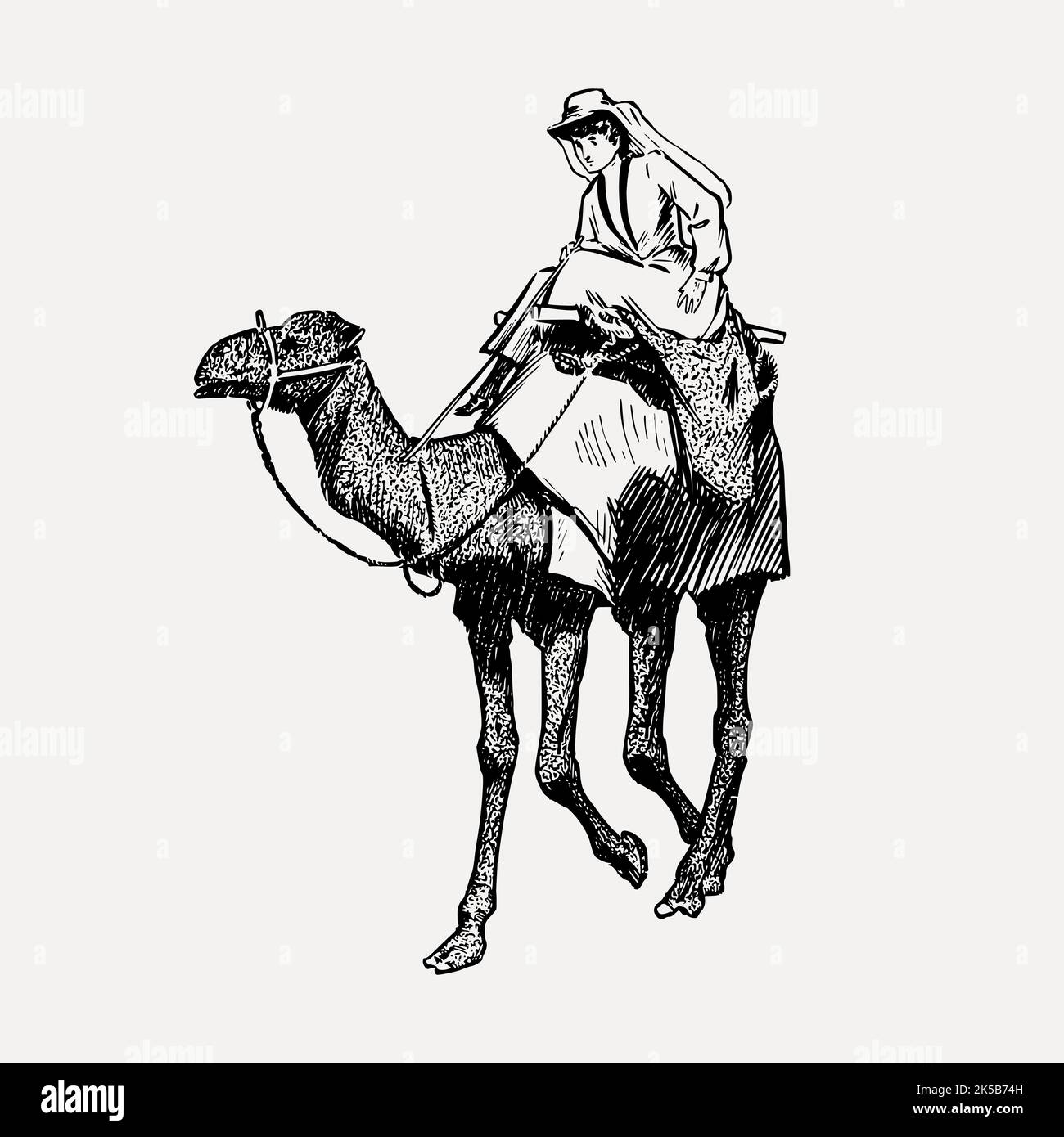 Camel rider drawing, vintage illustration vector Stock Vector Image ...