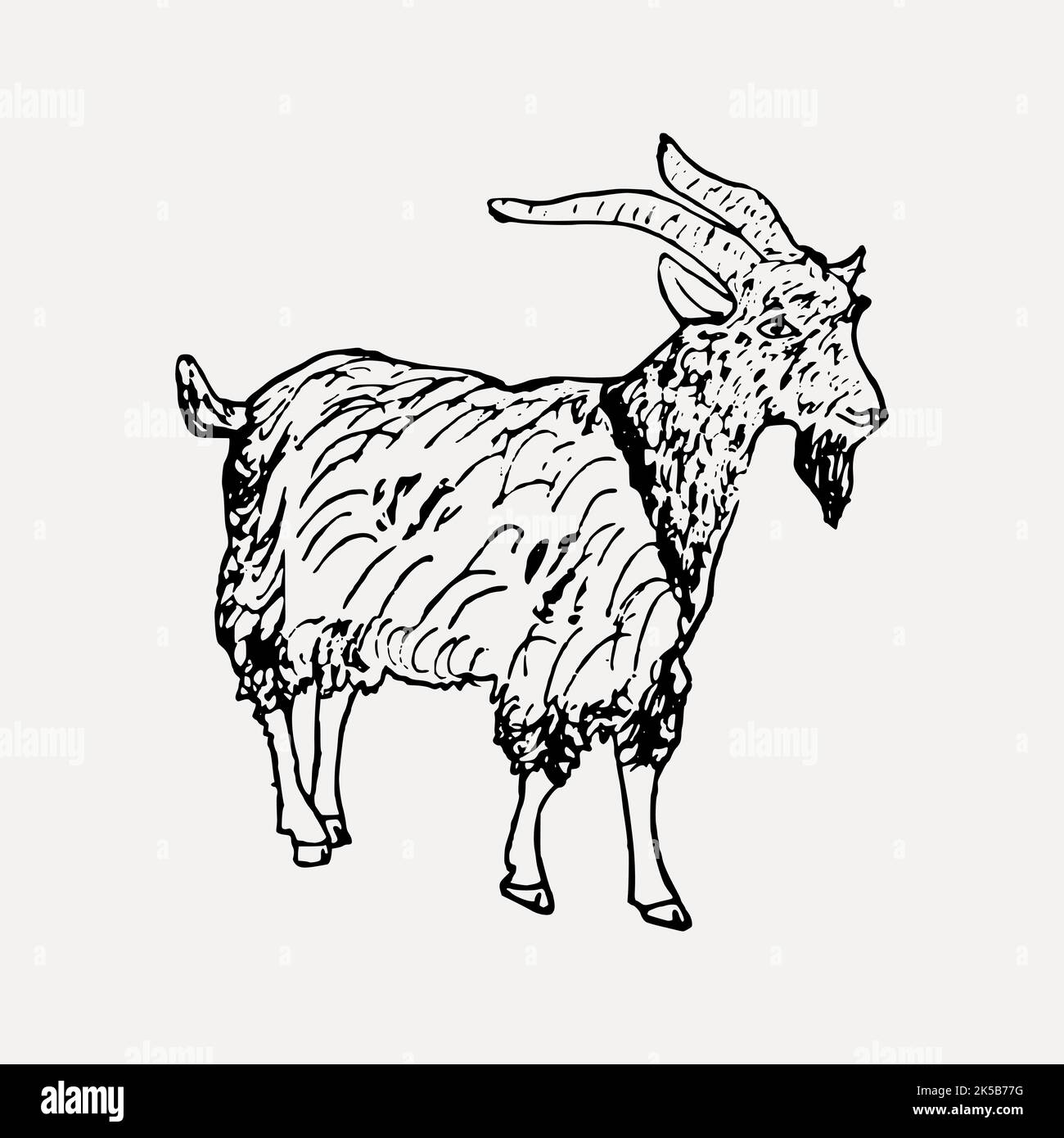Goat clipart, vintage illustration vector Stock Vector Image & Art - Alamy