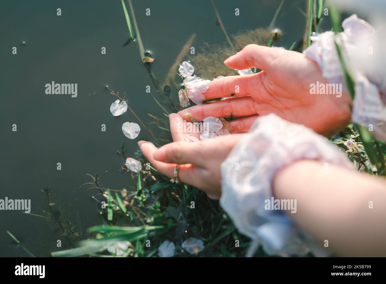 Throwing flower petals hi-res stock photography and images - Alamy