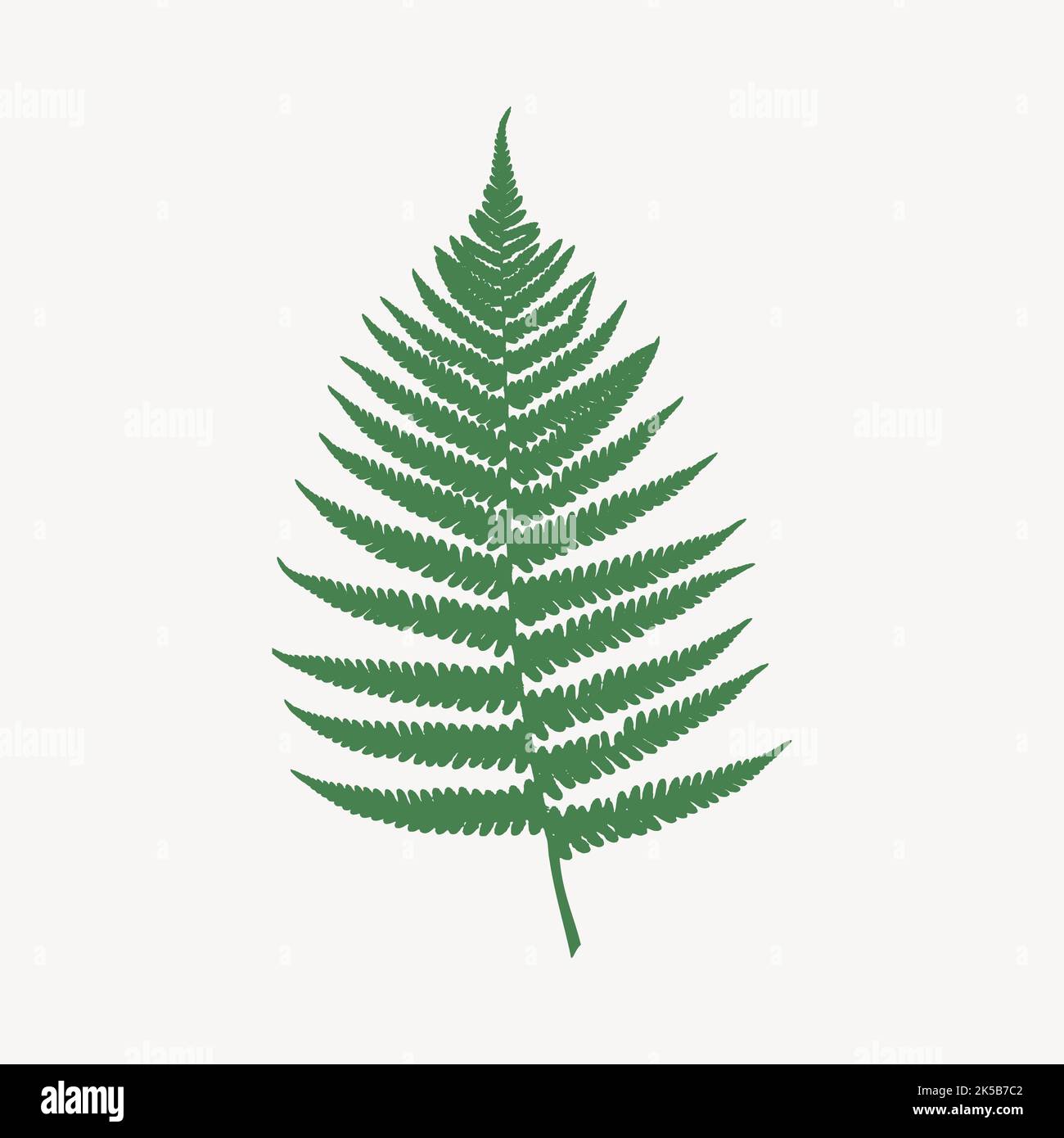 Fern leaf clipart, illustration vector Stock Vector Image & Art - Alamy