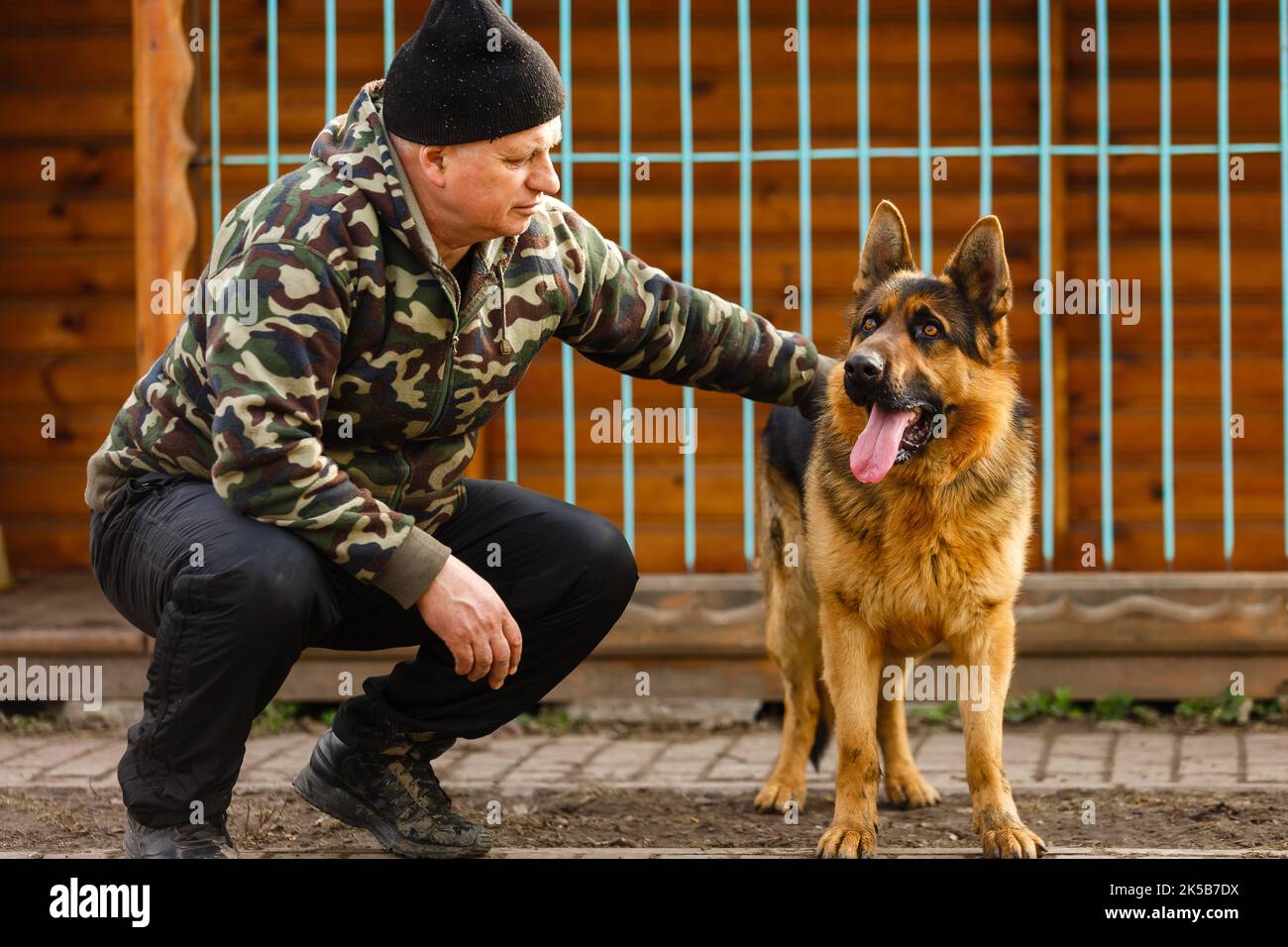 The man affects the dog, obedient and loving dog, captive dogs pull ...