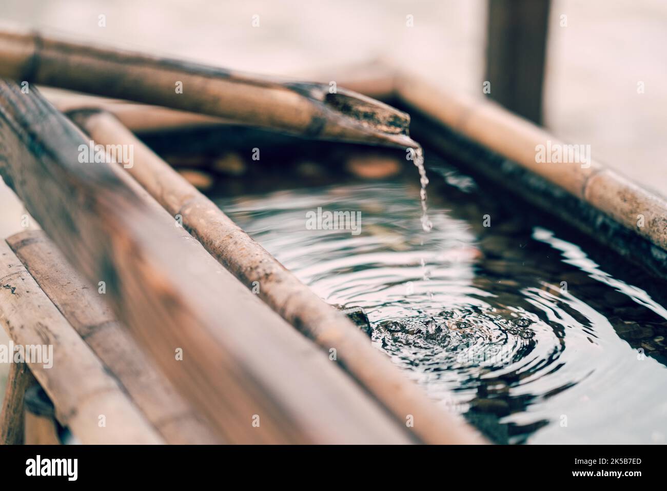 A closeup fo the water coming out of the bamboo drip Stock Photo - Alamy