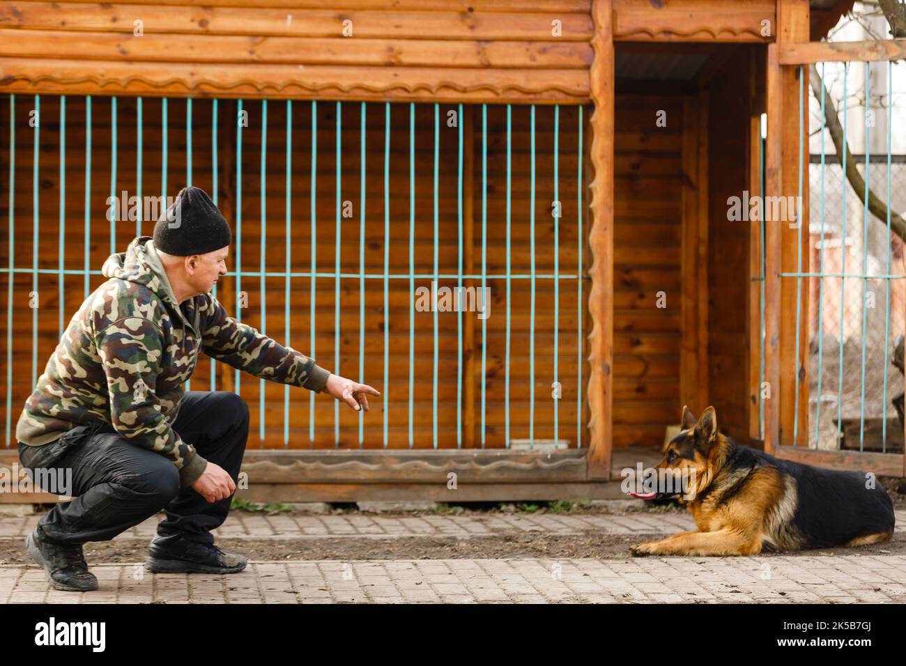 German Shepherd training (Sit command Stock Photo - Alamy