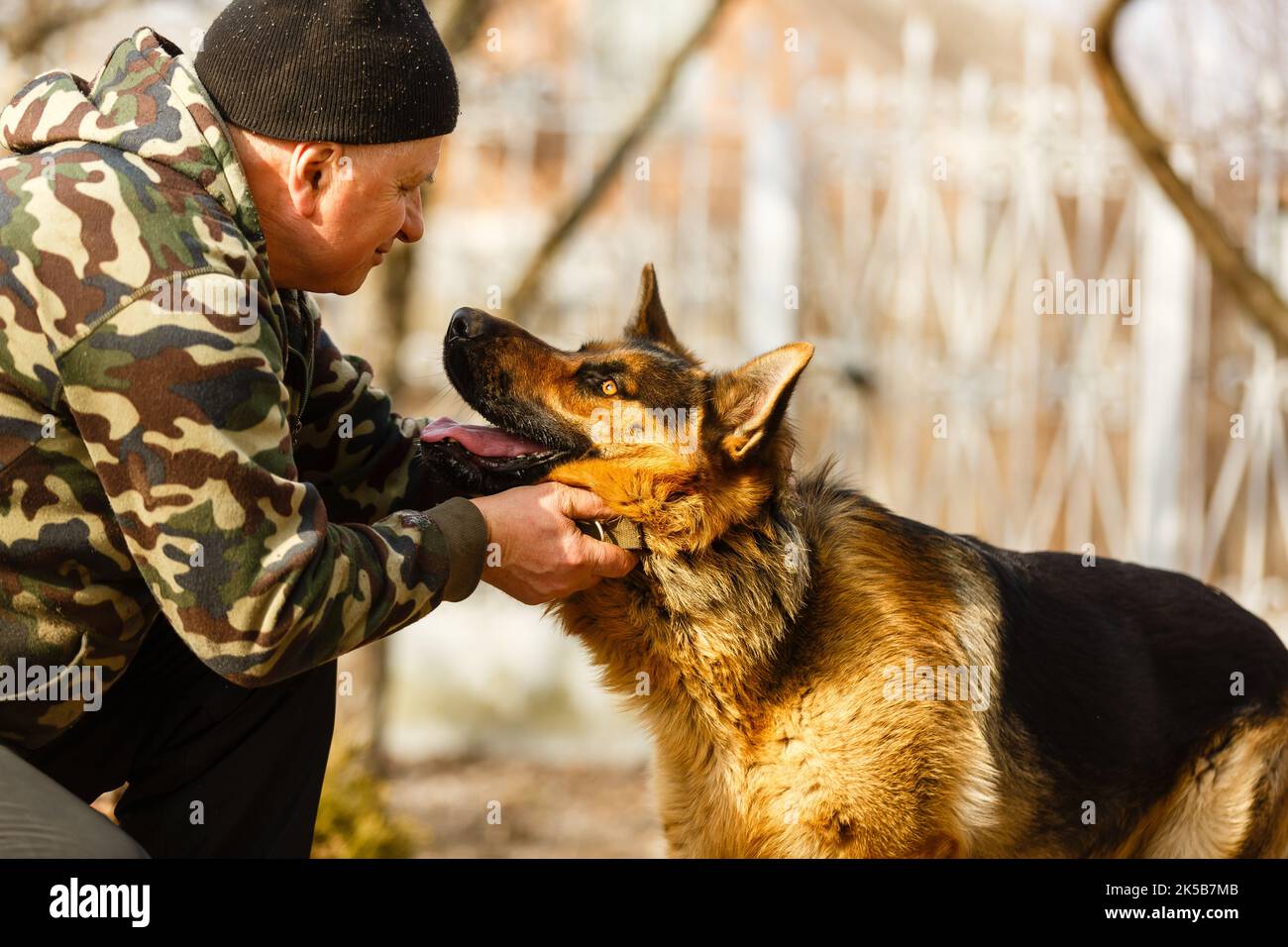 Evil german shepherd dog guard hi-res stock photography and images - Alamy