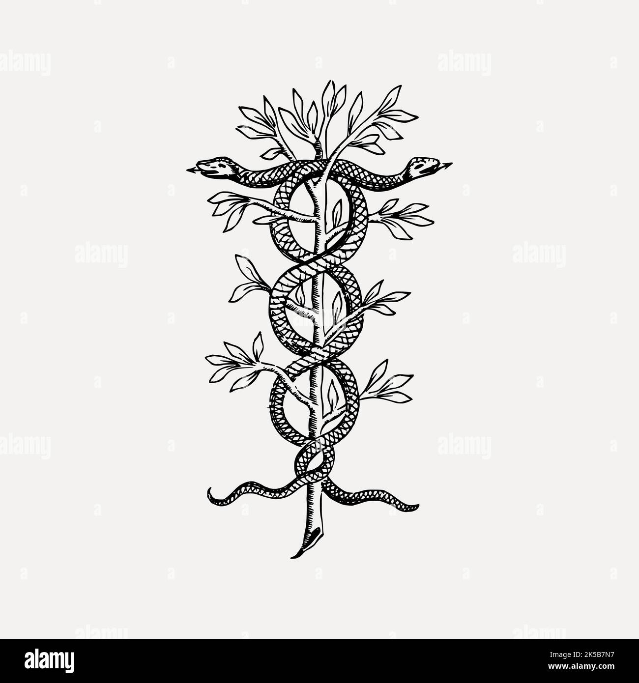 Snake emblem clipart, vintage illustration vector Stock Vector Image ...