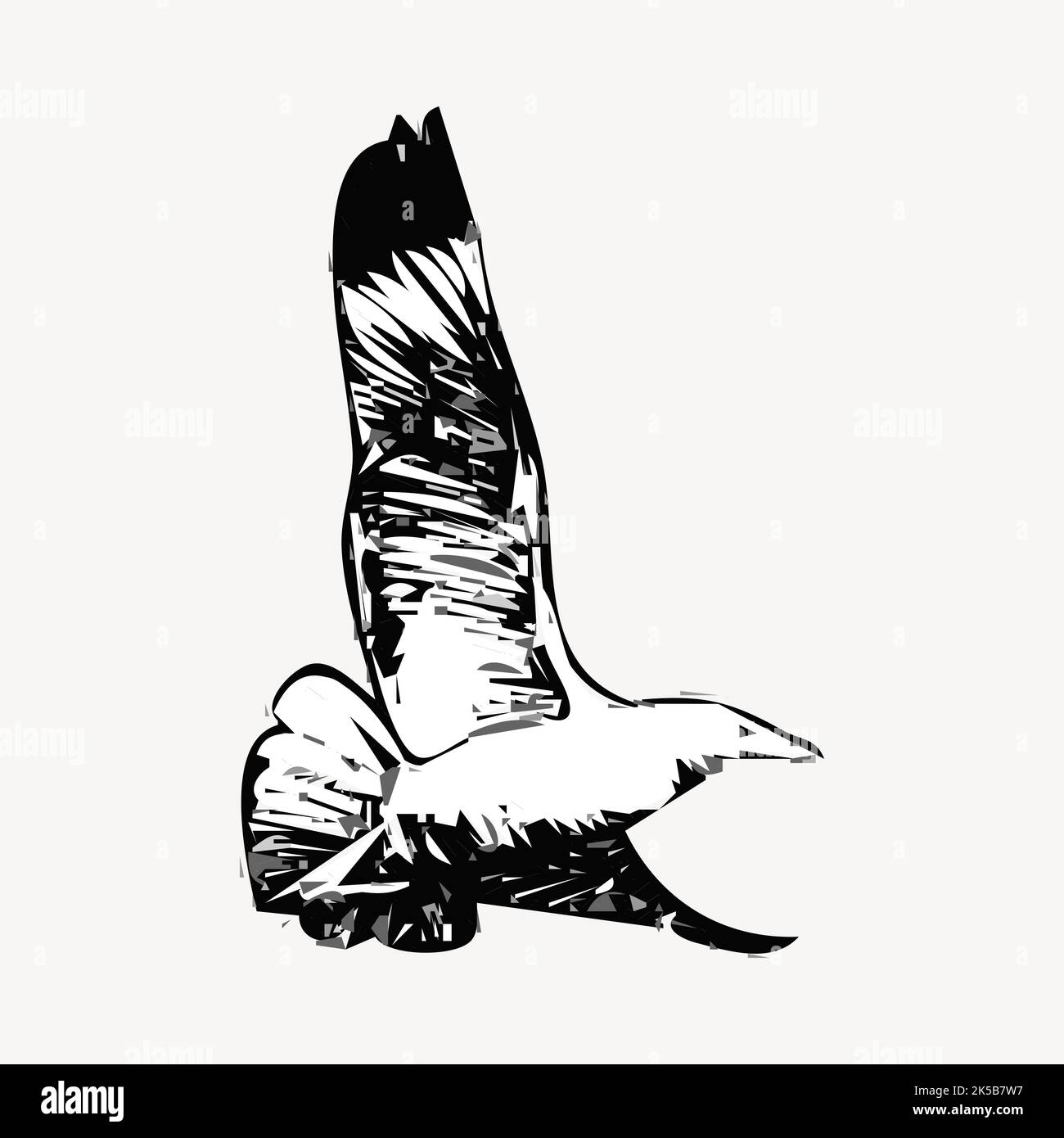 Flying bird drawing, illustration vector Stock Vector Image & Art - Alamy