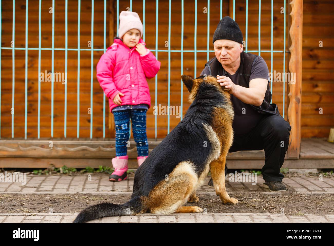 The man affects the dog, obedient and loving dog, captive dogs pull ...