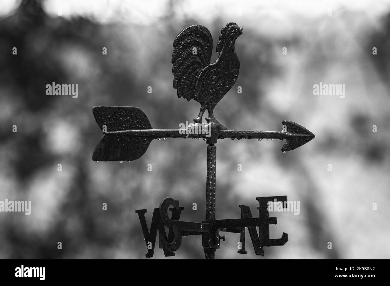 A grayscale shot of a North South East West metallic post with a ...