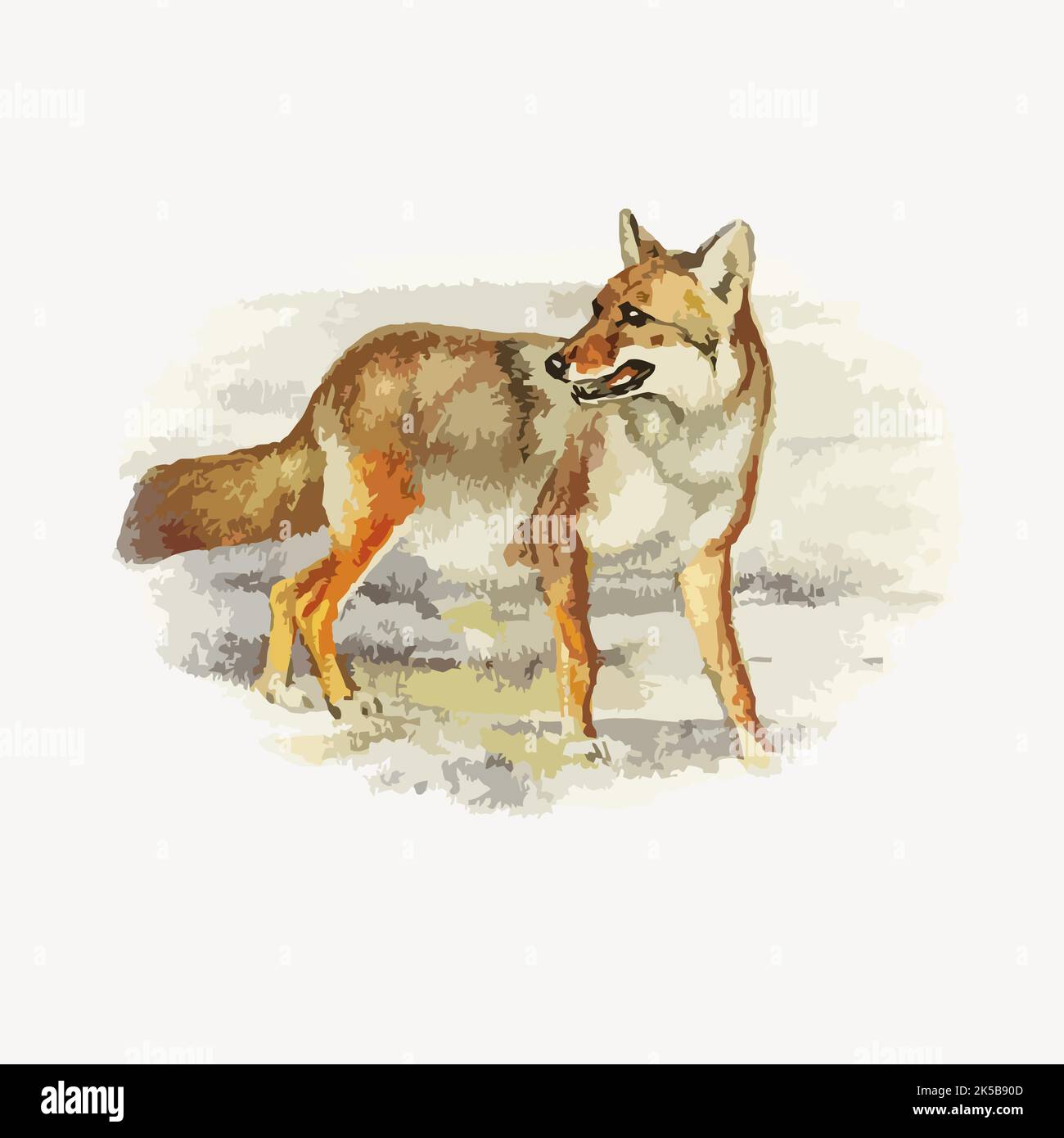 Coyote clipart animal illustration vector Stock Vector Image & Art - Alamy