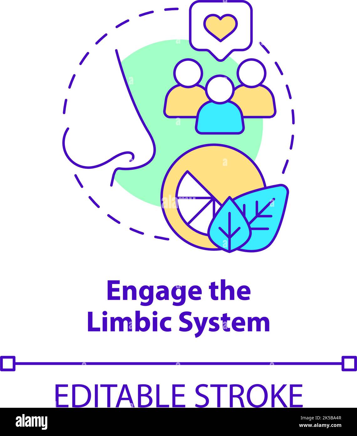 Limbic system hi-res stock photography and images - Alamy