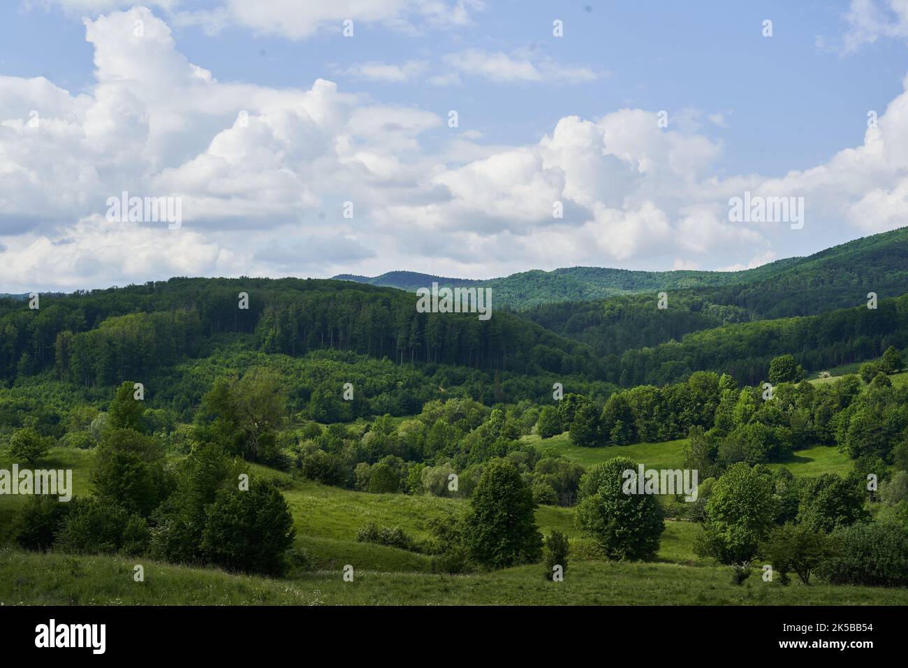 A beautiful scene of green plains with trees under green hills under ...