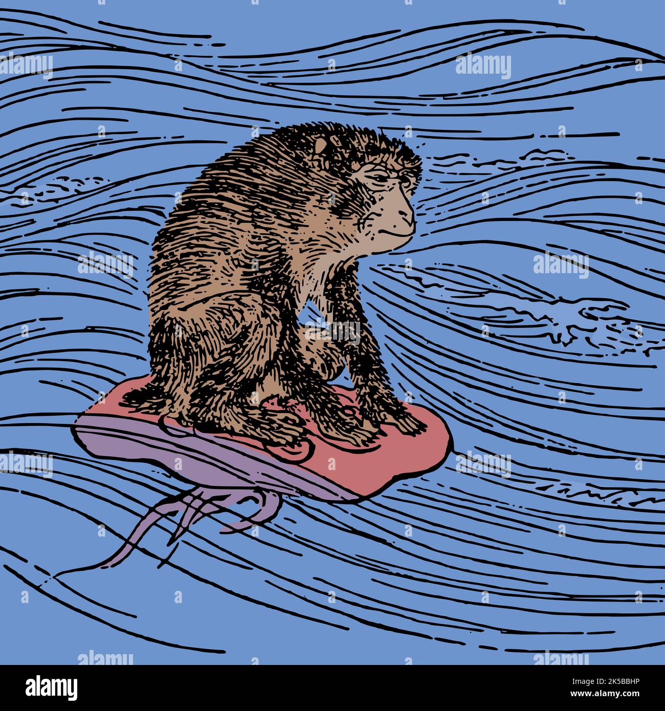 Japanese monkey clipart, animal illustration vector Stock Vector Image ...