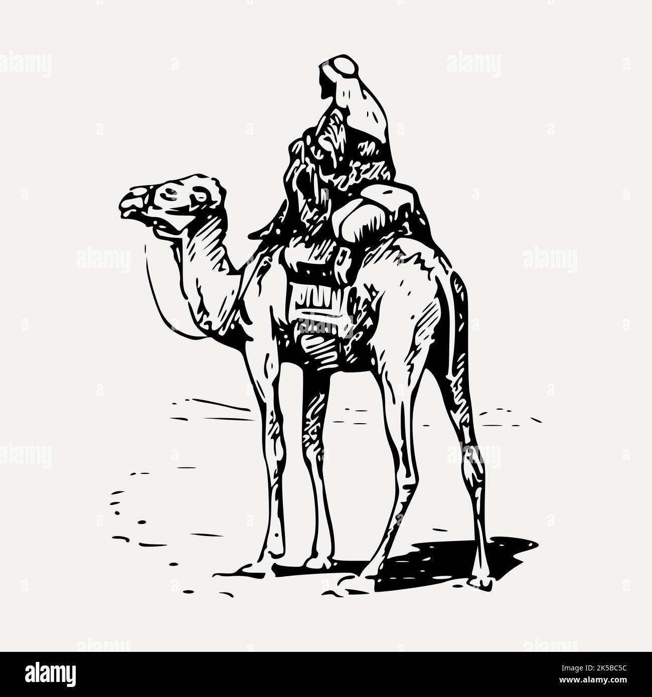 Camel rider drawing, vintage illustration vector Stock Vector Image ...