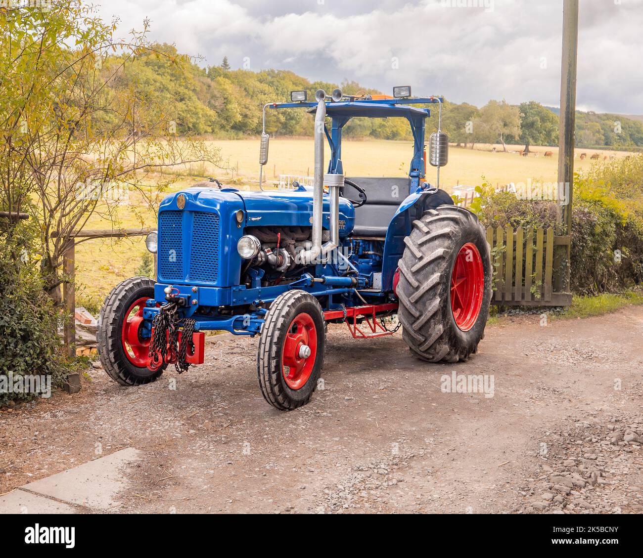 An old Fordson Major Blue Tractor Stock Photo - Alamy