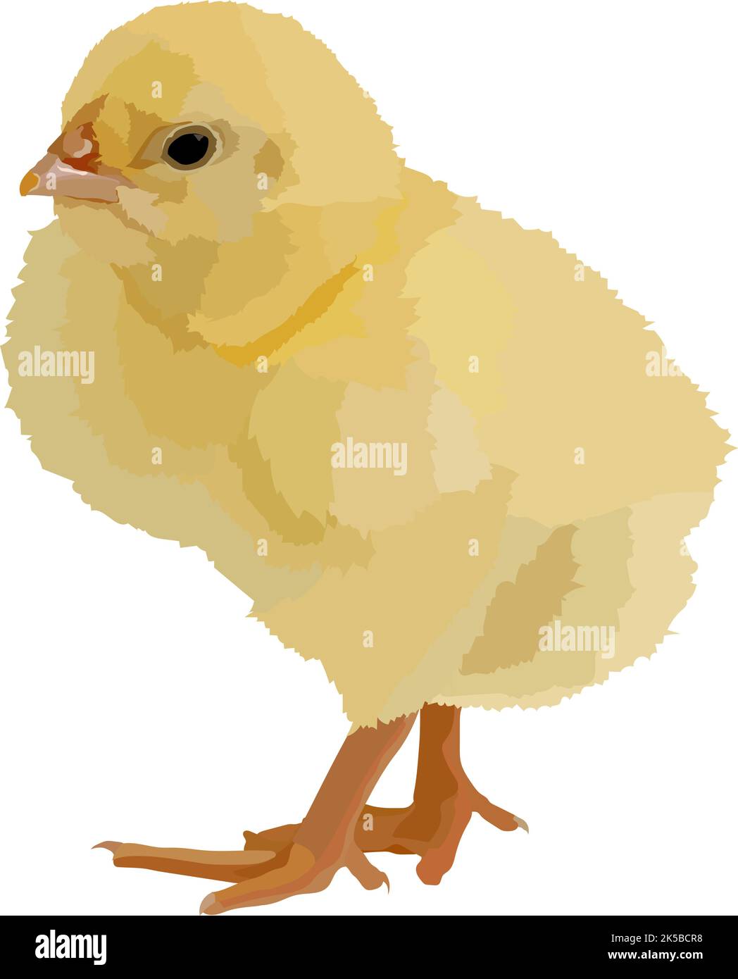Realistic yellow isolated chick, Easter traditional elements, funny ...