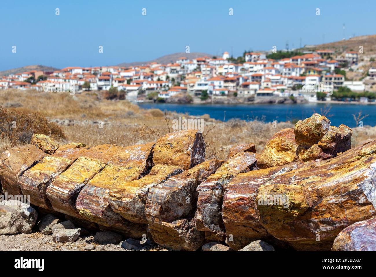Petrified tree trunk at the Petrified Forest of Lesvos island, near ...